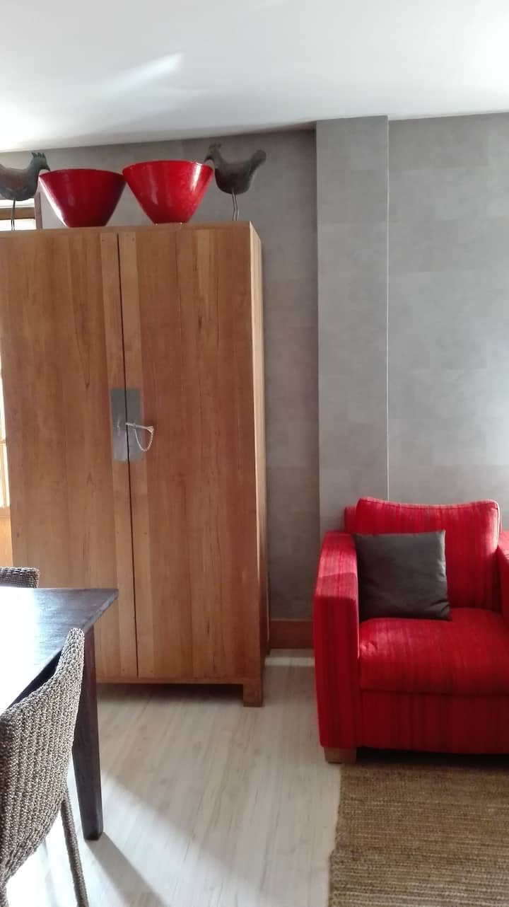 Acogedor Apartamento En El Corazon Del Pirineo - Formigal