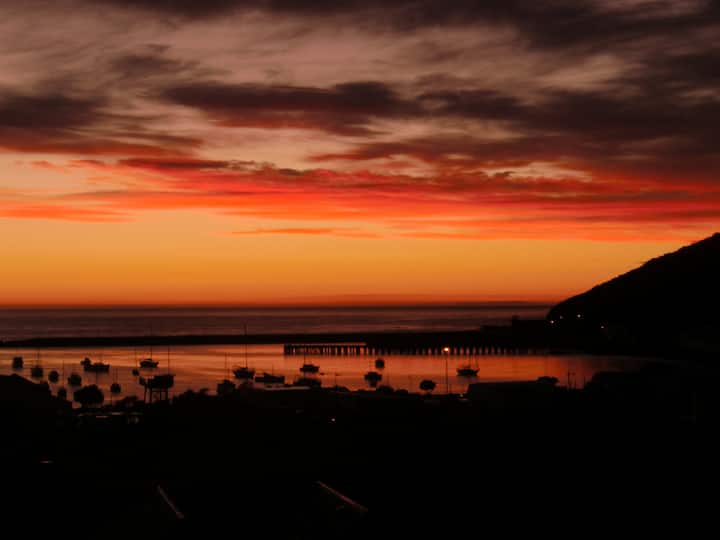 Oamaru Holiday Cottage. - Oamaru