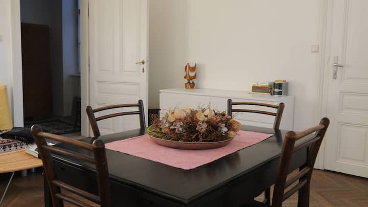 Neat 9th District Apartment - Vienna