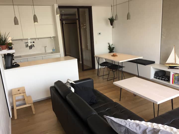 Ruim 2 Slpkamer App. Met Zeezicht En Parkeerplaats - Koksijde