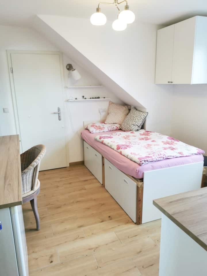 Geniales Apartment Mit Eigenem Bad Und Küche! - Würzburg
