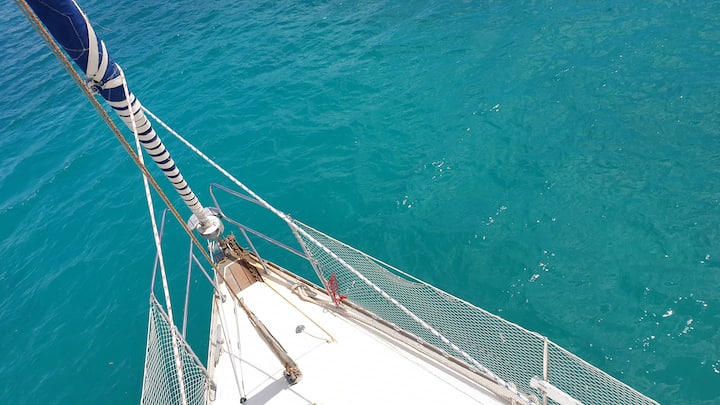 Cabine Tribord - Martinique