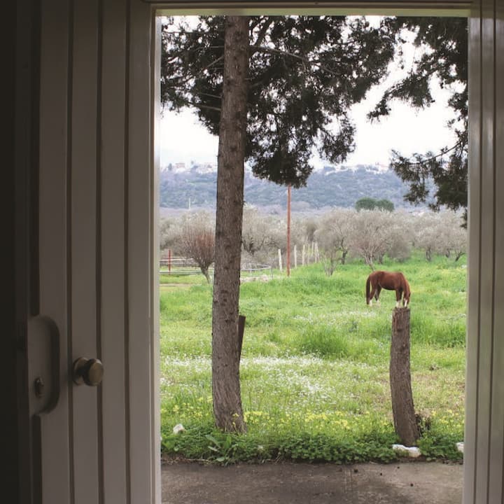 Relax In The Tranquility Of Nature - Lebanon