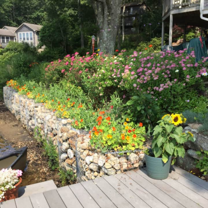 Lake Front "Windy Corner" Cottage - Exeter, RI
