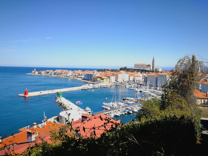 Piran Punta Kim Apartment - Piran