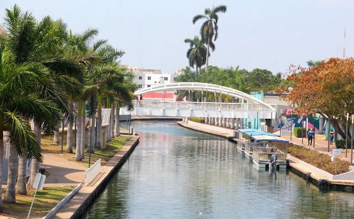 Departamento Paseo Cortadura - Tampico