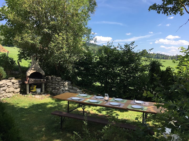 Appartement Et Jardin Avec Coin Cheminé - Canton de Neuchâtel
