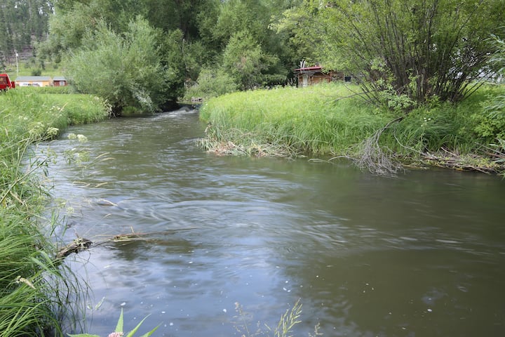 Rv Camping Near Brewery, Atv Trails & Mt. Rushmore - Hill City, SD