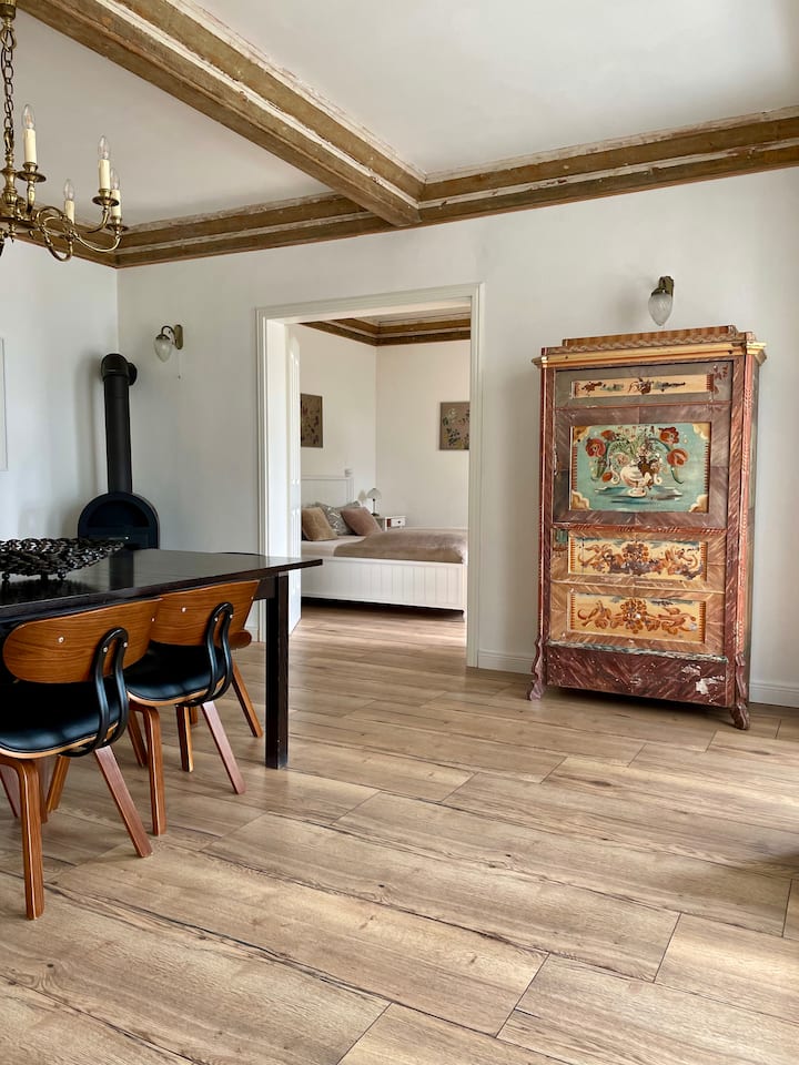 Wundervolle Wohnung Im Elbhang Dresden Loschwitz - Dresde