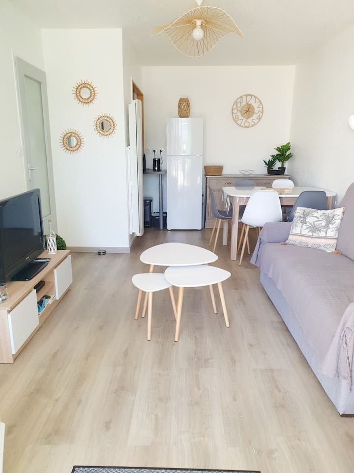Appartement En Bord De Mer "Les Mouettes" * - Vendée
