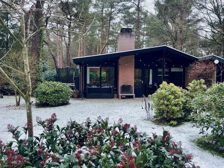 Familiebungalow In Het Bos - Ommen