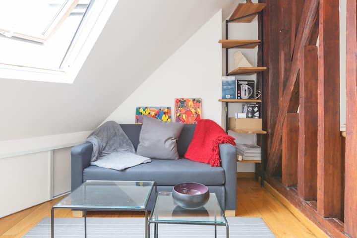 Charming Flat On Montmartre Roof - Gare de Lyon
