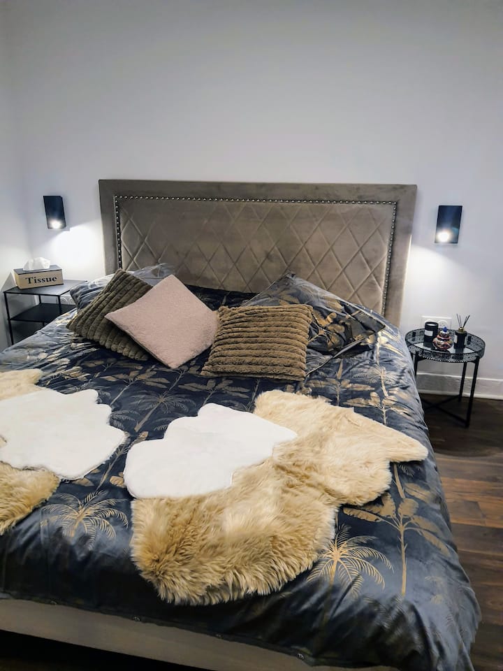 Studio Borne Véhicule éLectrique& Parking&jacuzzi - Saint-Étienne