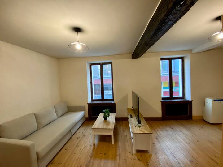 Appartement De 50m2 Au Centre De Cusset - Cusset