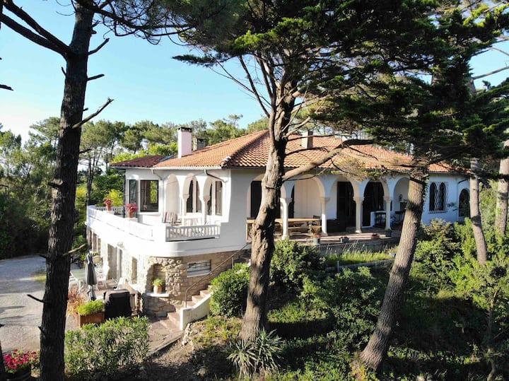 Site Exceptionnel à Hossegor – Vue Océan - Soustons