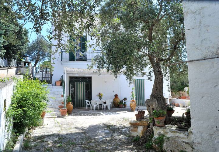 Typical Country House In Puglia - Cisternino