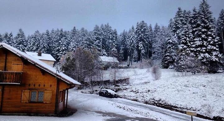 Chalet Des Cerfs 4 * - Vosges