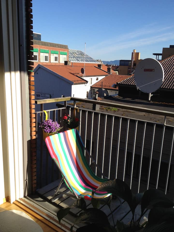 New Flat In The Heart Of Town - Trondheim
