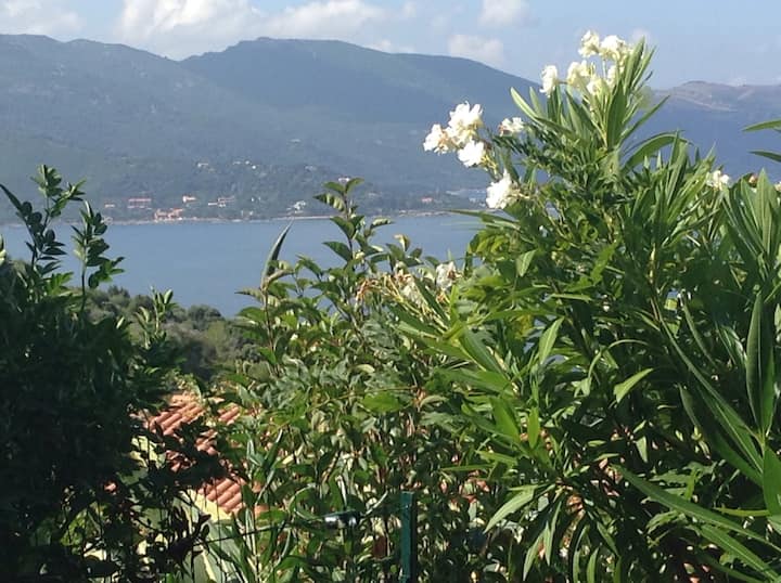 Corsica Panoramic Seaview Studio - Tiuccia