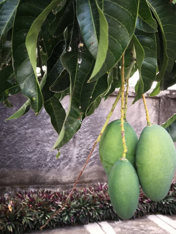 Ai2 Bali Home - Denpasar