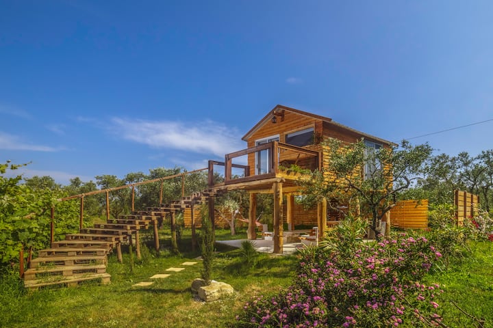 Greenleaf - Zakynthos