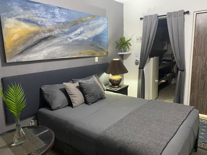 A- Mini Depa Con Patio, Cerca Del áRea Médica - Monterrey