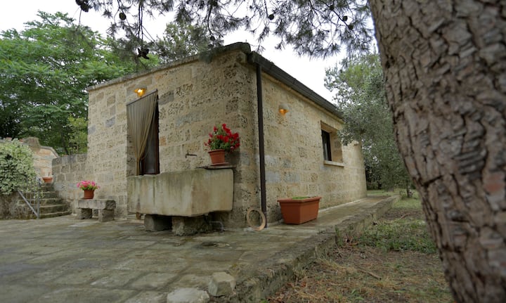 Deliziosa Casa Tra Gli Olivi - Lecce