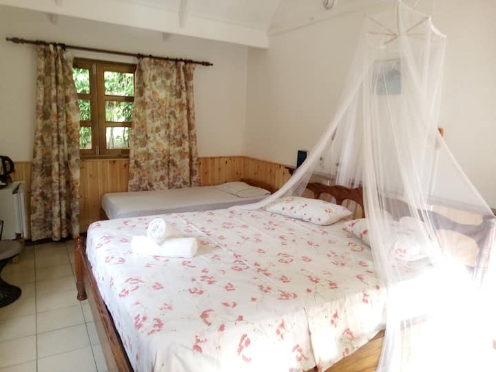 Bernique Guesthouse (Bird Island Room - Triple) - Seychellen