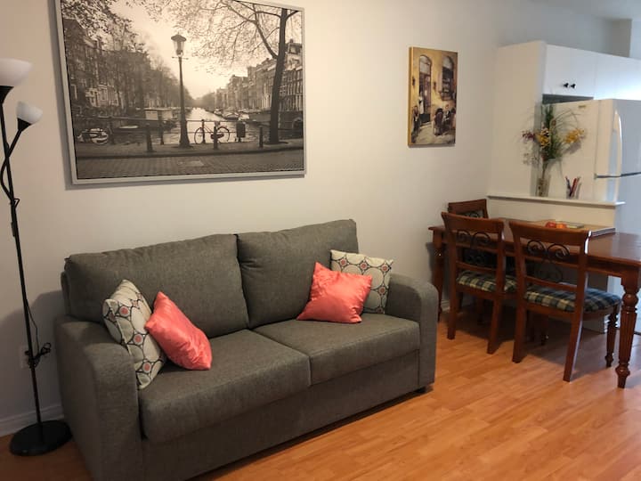Stade Olympique, Bel Appartement - Montreal