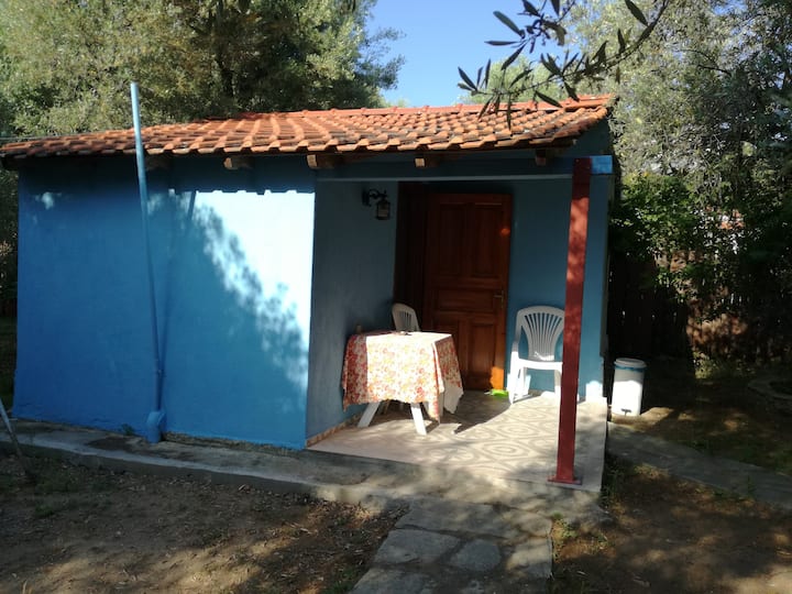 Apollon - Ситония