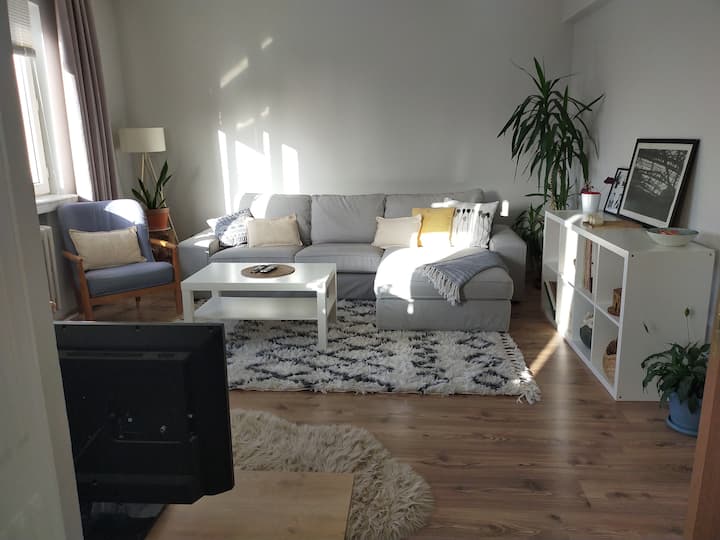 ŞEhrin En Merkezinde, Sicacik,ferah Ve Konforlu Ev - Eskişehir