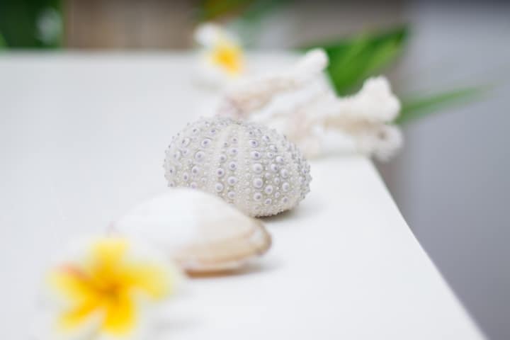 Le Jardin De Frangipane 5 - Mauritius