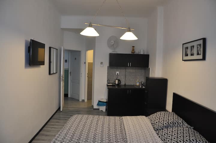 Centrally Located Private Studio Apartment - Praga