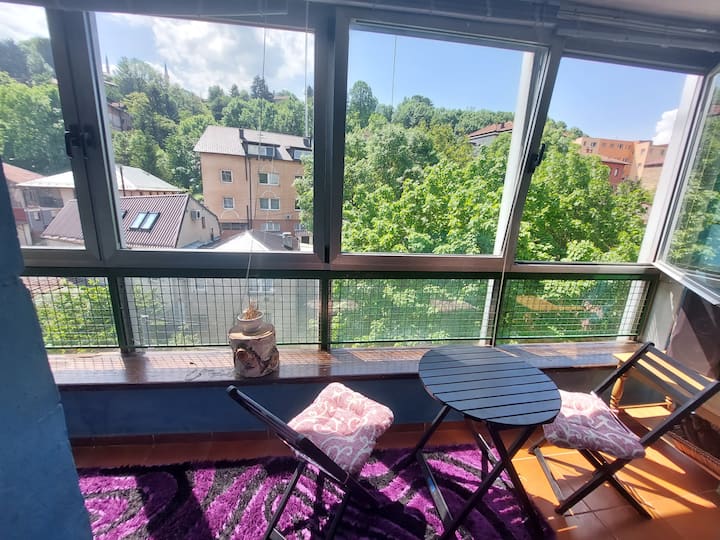 Papagajka Colors - Sarajevo