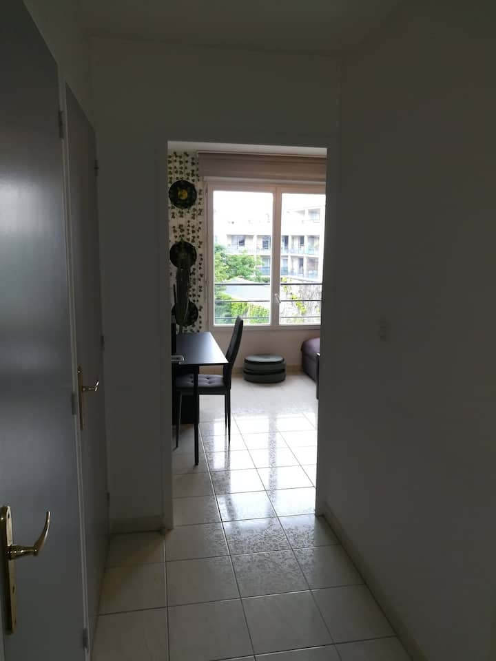 Appartement Calme Centre Nantes +Parking Sécurisé - Nantes