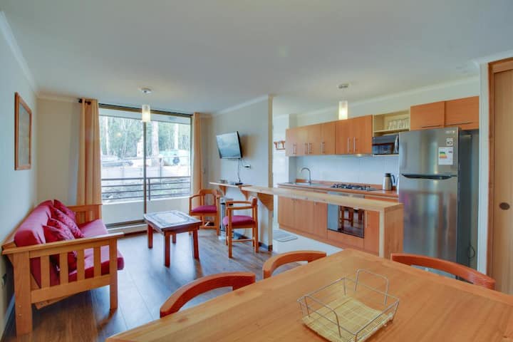 Department In Pucón On The Way To The Volcano - Pucón