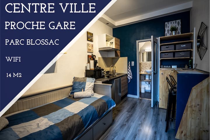 ✅🆒 Cosy Studio / Parc Blossac / Proche Gare 🆒✅ - Poitiers