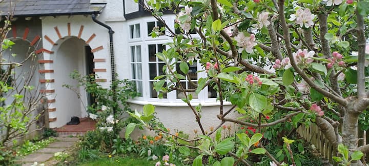 Lovely Room With A Distant Sea View; 1930s House. - Plymouth
