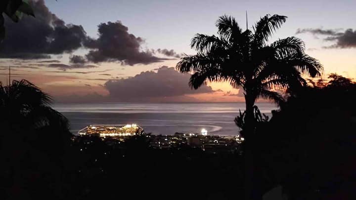 Hibiscus Haven With Pool Access And Amazing View - Roseau