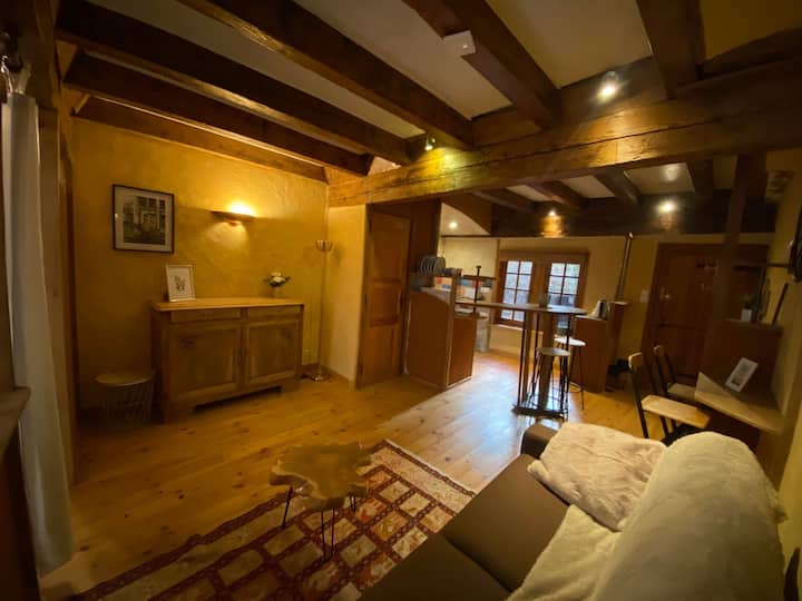 Chaleureux Dans Le Centre Historique - Le Puy-en-Velay