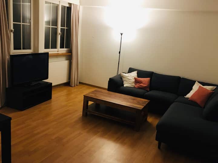 Gemütliche Wohnung 10 Min Von Zürich. - Zurich