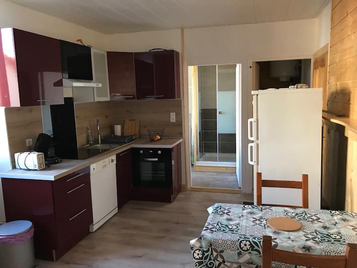 Appartement 2 Pièces 4/5 Pers Au Coeur De Briançon - Briançon