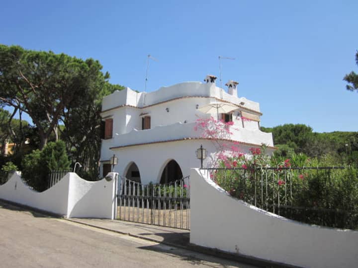 Villa Nilde 150 Mt Dal Mare - Domus De Maria