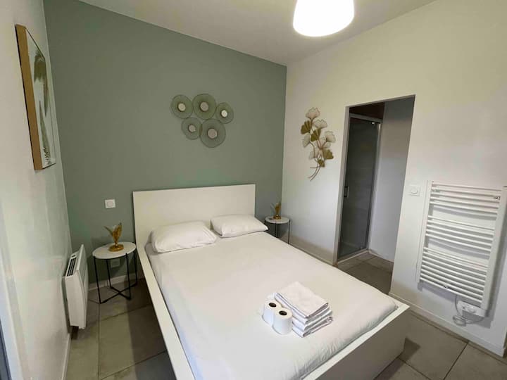Chambre Privée Avec Salle D'eau Individuelle - Bordeaux