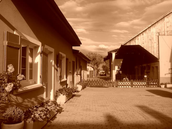 Gîte à La Ferme De La Torre  (Maison Indépendante) - Haut-Rhin