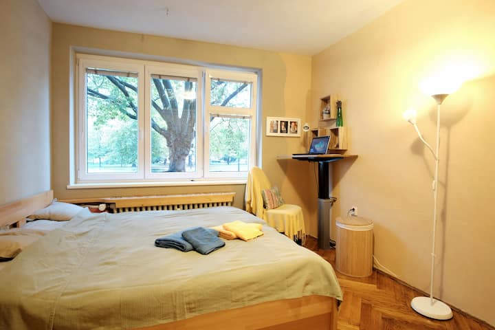 Parkside Apartment In The Center - Ostrava