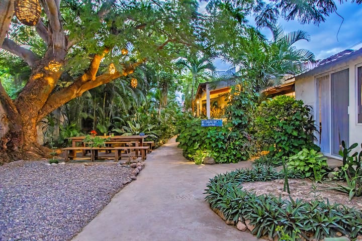 Sayulita Oasis  Up To 21 People / Retreats Welcome - Sayulita