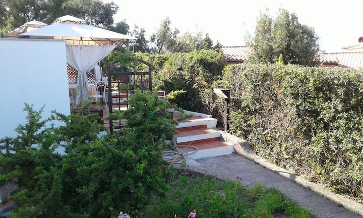 Bilocale Delizioso In Collina - San Teodoro