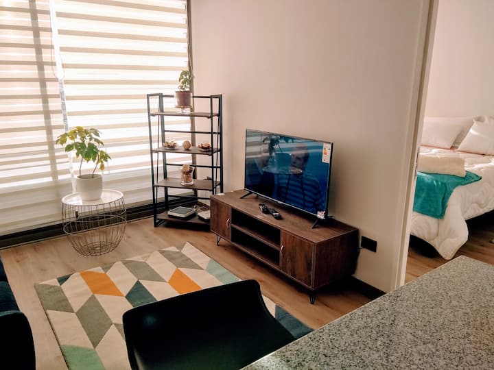 Departamento Nuevo En Concepcion Centro - Concepción