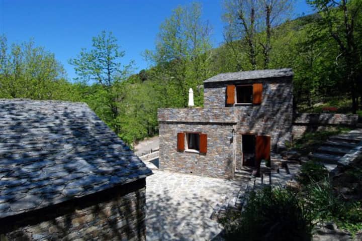 Gîtes De Casabianca En Castagniccia Haute Corse - Korsika